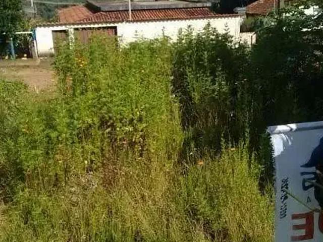 Sítio / Chácara para Venda em Mateus Leme/MG Vale Dos Araçás