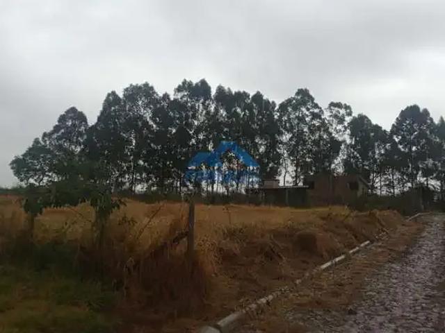 Sítio / Chácara para Venda em Mateus Leme/MG Alto Boa Vista