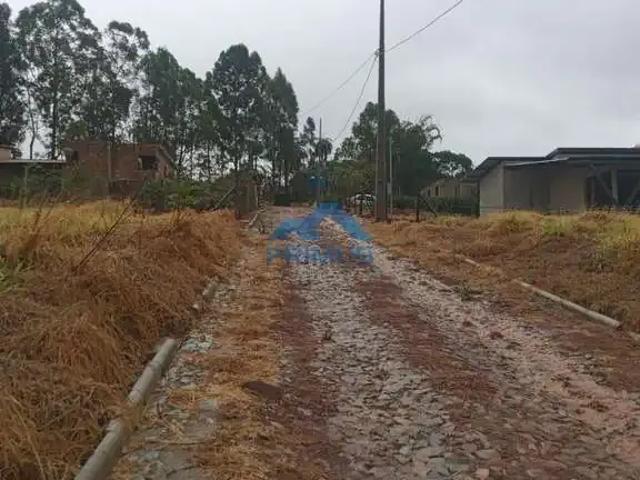 Sítio / Chácara para Venda em Mateus Leme/MG Alto Boa Vista