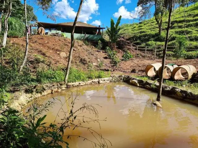 Sítio / Chácara para Venda em Mateus Leme/MG Azurita 2 Quartos