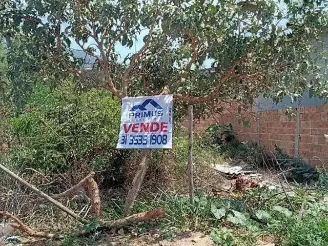 Sítio / Chácara para Venda em Mateus Leme/MG Santa Clara