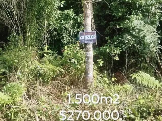 Sítio / Chácara para Venda em Matinhos/PR Balneário Gaivotas