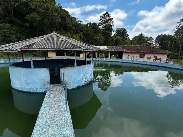 Sítio / Chácara para Venda em Mauá/SP Chácara São Lucido
