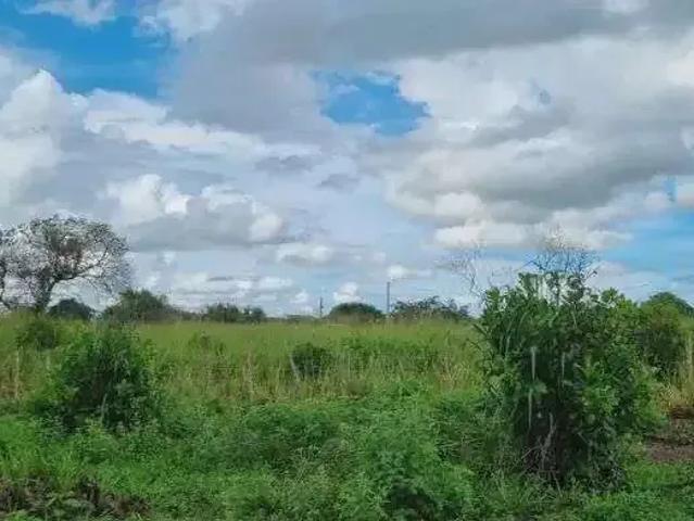 Sítio / Chácara para Venda em Macaíba/RN Centro 4 Quartos