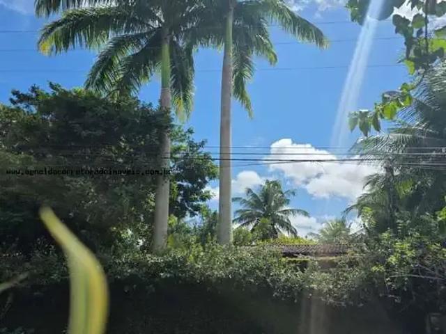 Sítio / Chácara para Venda em Macaíba/RN Zona de Expansão Urbana Sul 2 Quartos