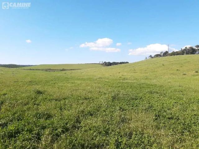 Sítio / Chácara para Venda em Macieira/SC Zona Rural