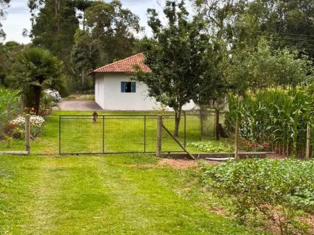 Sítio / Chácara para Venda em Mafra/SC Zona Rural 4 Quartos