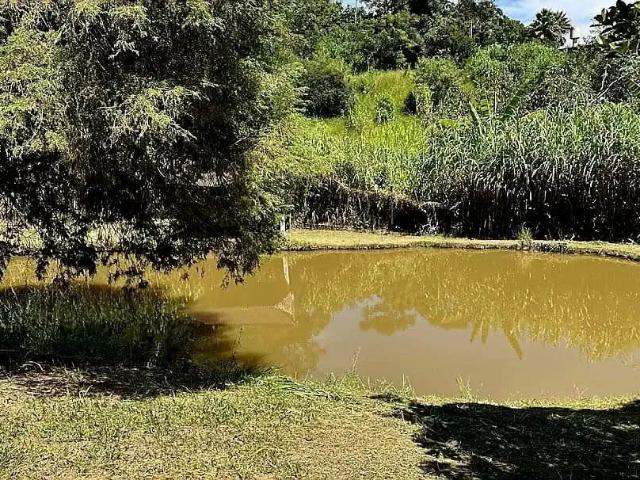 Sítio / Chácara para Venda em Mairinque/SP Dona Catarina 3 Quartos