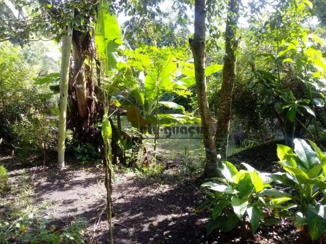 Sítio / Chácara para Venda em Mairinque/SP Jardim Oriental 2 Quartos