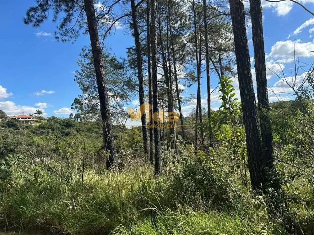 Sítio / Chácara para Venda em Mairinque/SP Zona Rural