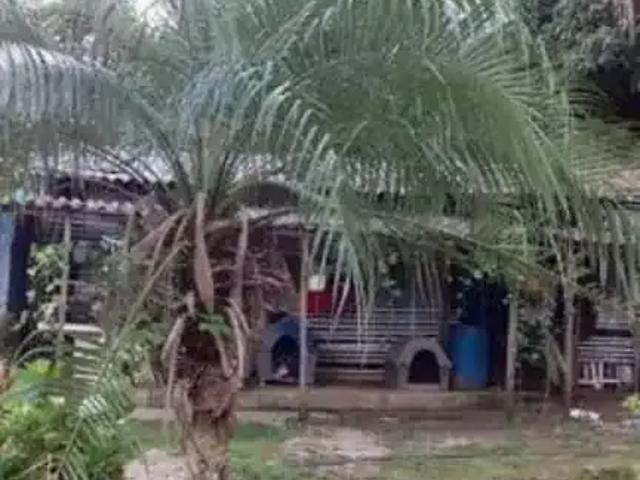 Sítio / Chácara para Venda em Mairiporã/SP Centro 1 Quartos
