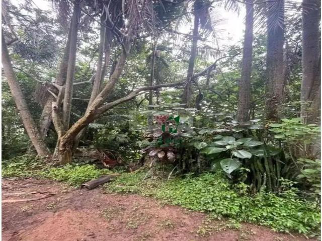 Sítio / Chácara para Venda em Mairiporã/SP Alpes de Mairiporã 2 Quartos