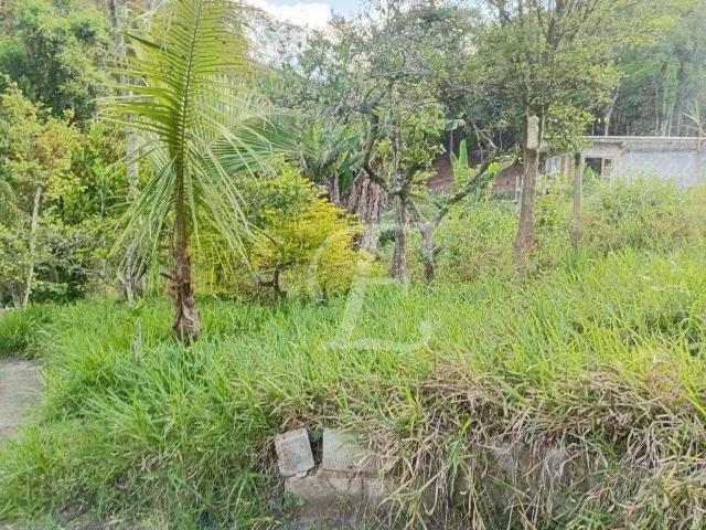 Sítio / Chácara para Venda em Mairiporã/SP Terra Preta 2 Quartos