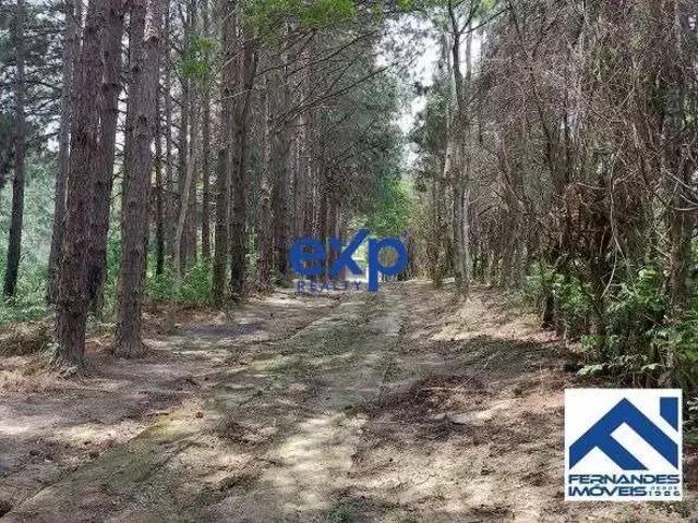 Sítio / Chácara para Venda em Mairiporã/SP Terra Preta 2 Quartos