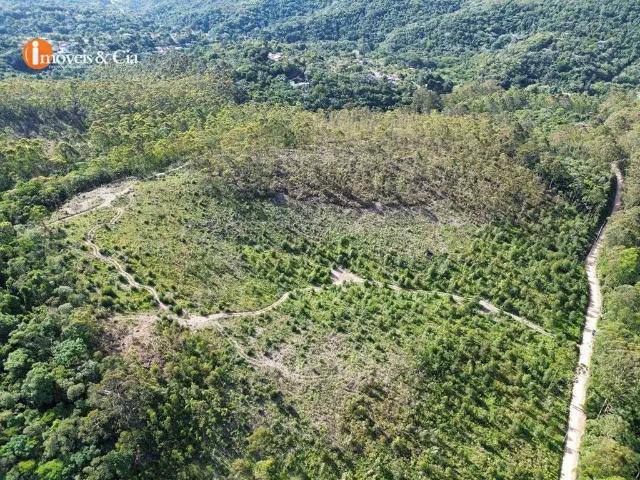 Sítio / Chácara para Venda em Mairiporã/SP Vila Pedra Vermelha 1 Quartos