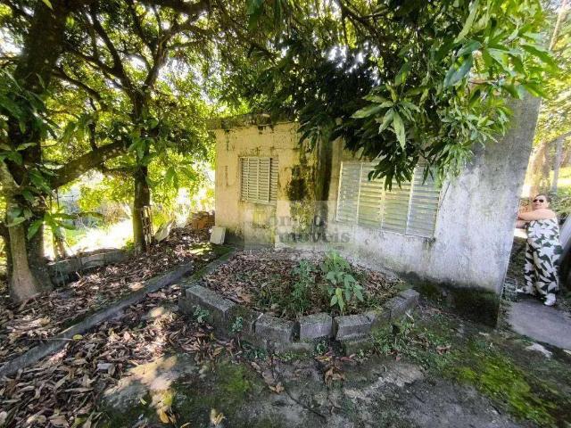 Sítio / Chácara para Venda em Mairiporã/SP Vila Pedra Vermelha 2 Quartos