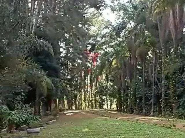 Sítio / Chácara para Venda em Mairiporã/SP Zona Rural 5 Quartos