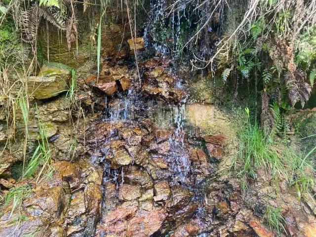 Sítio / Chácara para Venda em Major Gercino/SC Pinheiral 3 Quartos