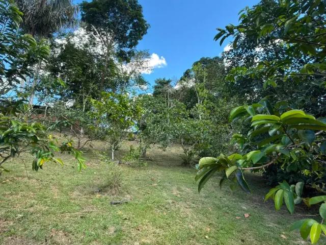 Sítio / Chácara para Venda em Manaus/AM Área Rural de Manaus 3 Quartos
