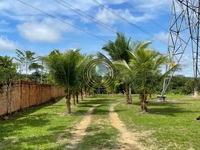 Sítio / Chácara para Venda em Manaus/AM Distrito Industrial II 6 Quartos