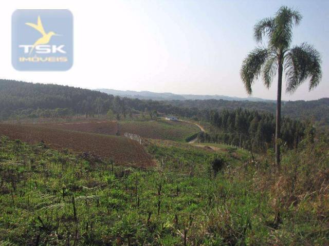 Sítio / Chácara para Venda em Mandirituba/PR Zona Rural 1 Quartos