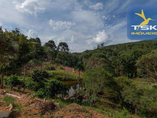 Sítio / Chácara para Venda em Mandirituba/PR Zona Rural 2 Quartos