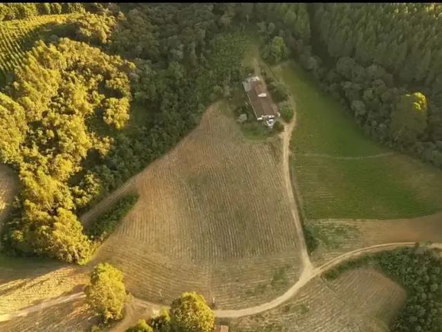 Sítio / Chácara para Venda em Mandirituba/PR Zona Rural 3 Quartos