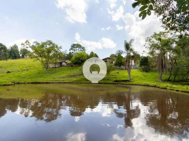 Sítio / Chácara para Venda em Mandirituba/PR Zona Rural 4 Quartos