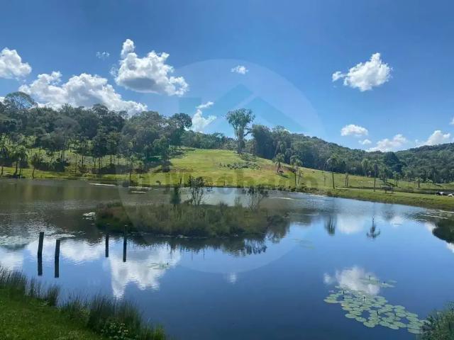 Sítio / Chácara para Venda em Mandirituba/PR Zona Rural