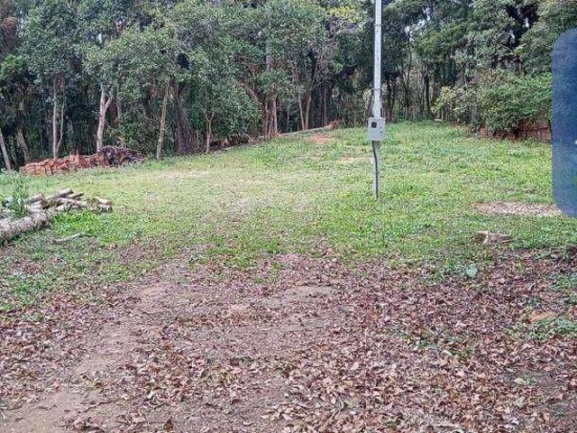 Sítio / Chácara para Venda em Mandirituba/PR Zona Rural