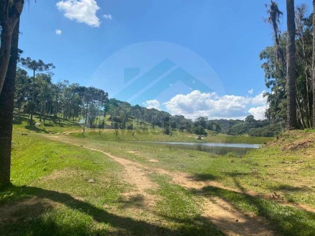 Sítio / Chácara para Venda em Mandirituba/PR Zona Rural