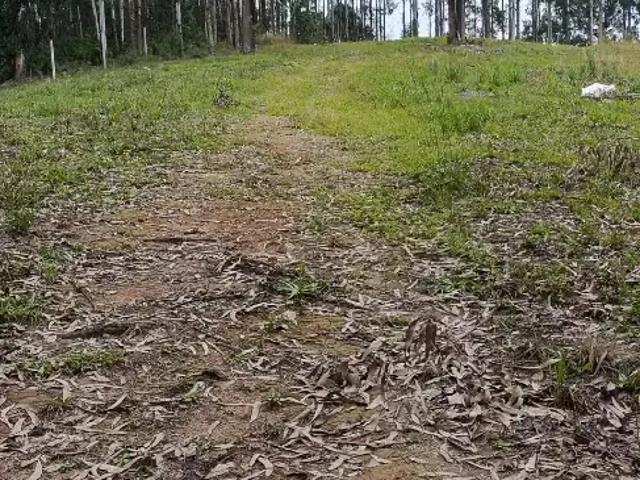 Sítio / Chácara para Venda em Mandirituba/PR Zona Rural