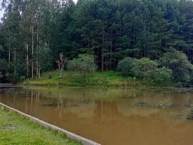 Sítio / Chácara para Venda em Mandirituba/PR Areia Branca dos Assis 2 Quartos
