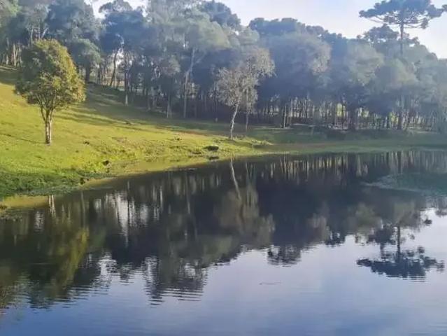 Sítio / Chácara para Venda em Mandirituba/PR Areia Branca dos Assis 2 Quartos