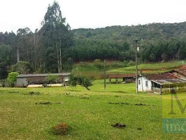 Sítio / Chácara para Venda em Mandirituba/PR Areia Branca dos Assis 2 Quartos