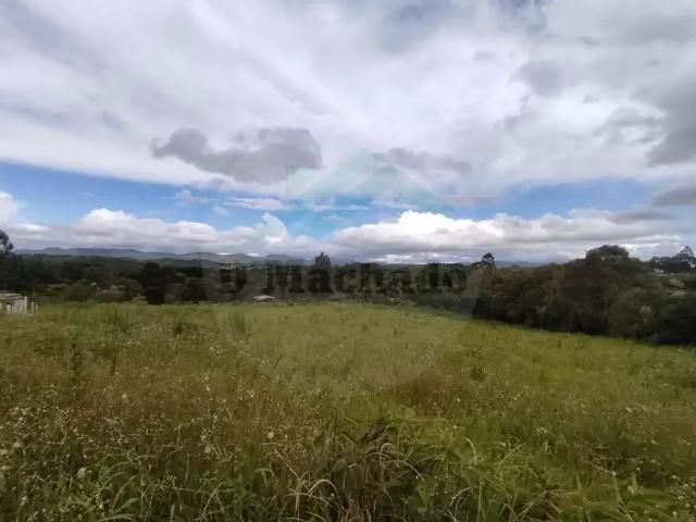 Sítio / Chácara para Venda em Mandirituba/PR Areia Branca dos Assis