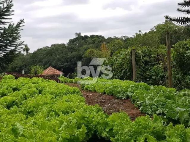 Sítio / Chácara para Venda em Mandirituba/PR Areia Branca dos Assis