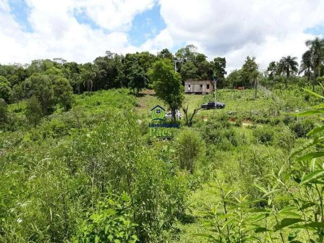 Sítio / Chácara para Venda em Mandirituba/PR Boa Vista