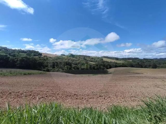 Sítio / Chácara para Venda em Mandirituba/PR Campestrinho