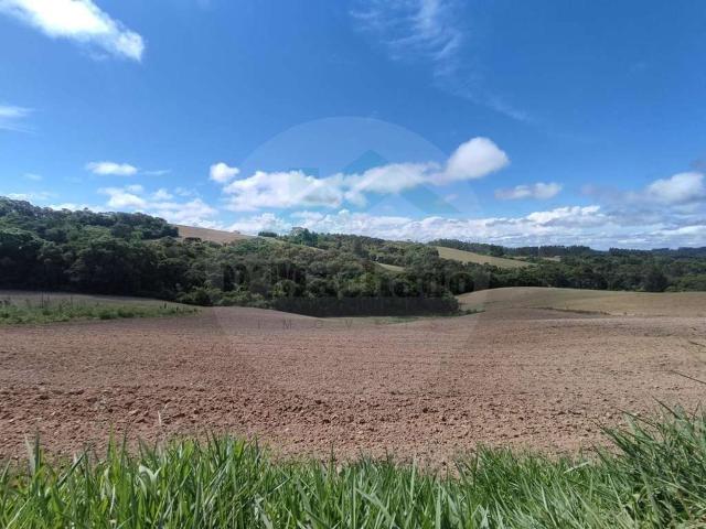 Sítio / Chácara para Venda em Mandirituba/PR Campestrinho