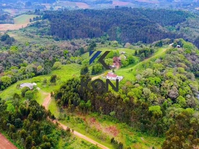 Sítio / Chácara para Venda em Mandirituba/PR Centro 3 Quartos