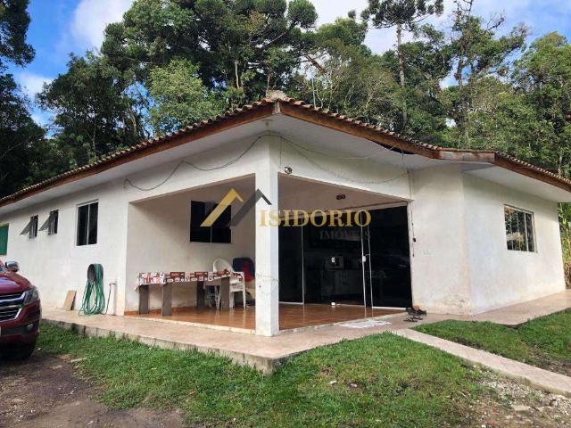 Sítio / Chácara para Venda em Mandirituba/PR Centro 6 Quartos