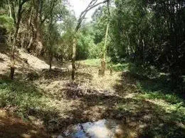 Sítio / Chácara para Venda em Mandirituba/PR Centro