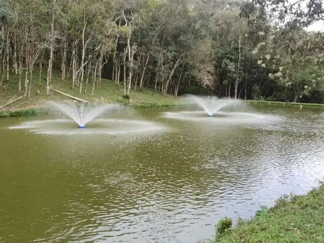 Sítio / Chácara para Venda em Mandirituba/PR Chimboveiro 4 Quartos