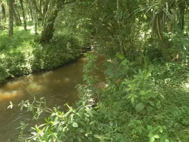 Sítio / Chácara para Venda em Mandirituba/PR Colonia Lima