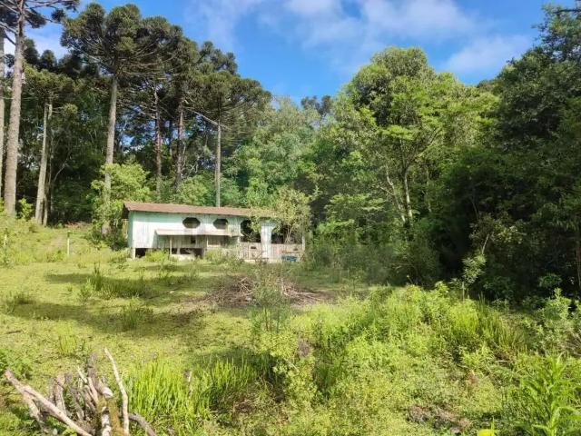 Sítio / Chácara para Venda em Mandirituba/PR Colônia Retiro