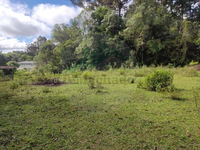 Sítio / Chácara para Venda em Mandirituba/PR Colônia Retiro
