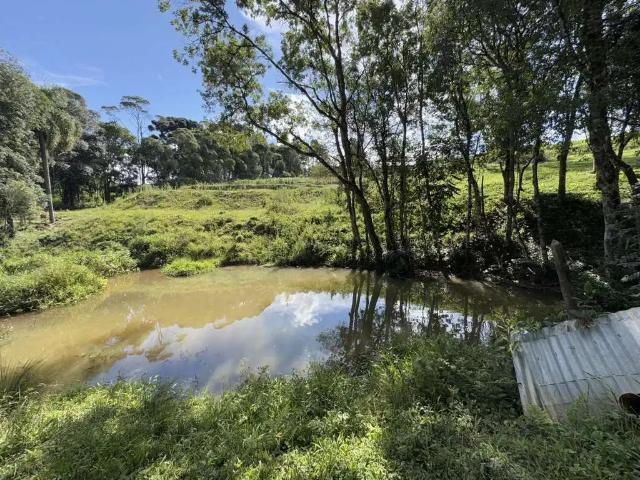 Sítio / Chácara para Venda em Mandirituba/PR Lagoa dos Ferreiras 5 Quartos