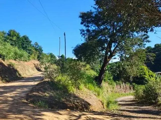 Sítio / Chácara para Venda em Manhuaçu/MG Vilanova