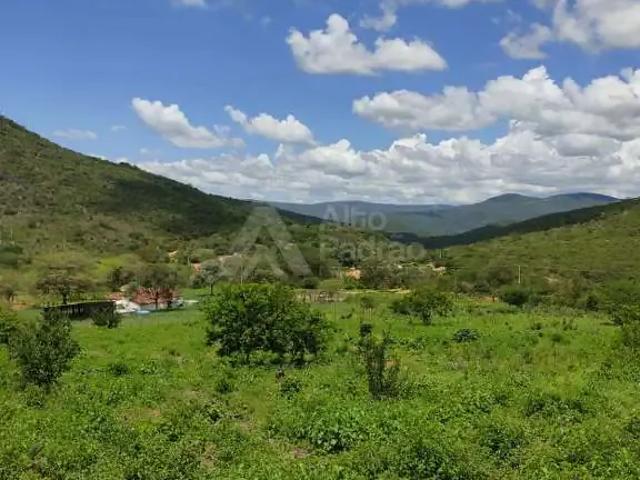 Sítio / Chácara para Venda em Manoel Vitorino/BA Centro